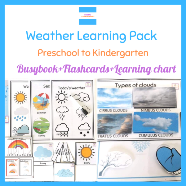 Dinosaur Busy Book — Digital Learning packs