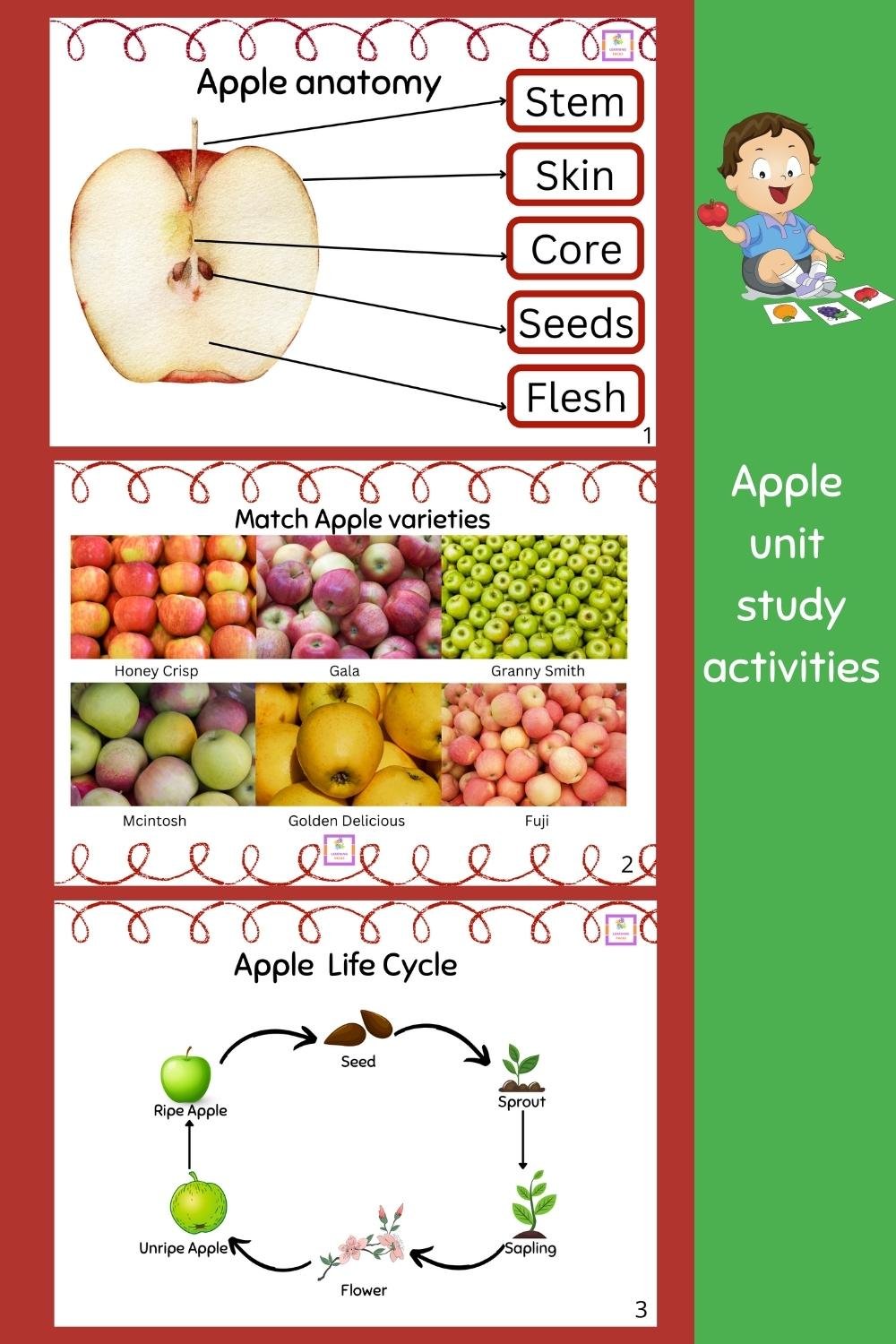 Printable Apple activities for preschoolers - [FREE Printable ...